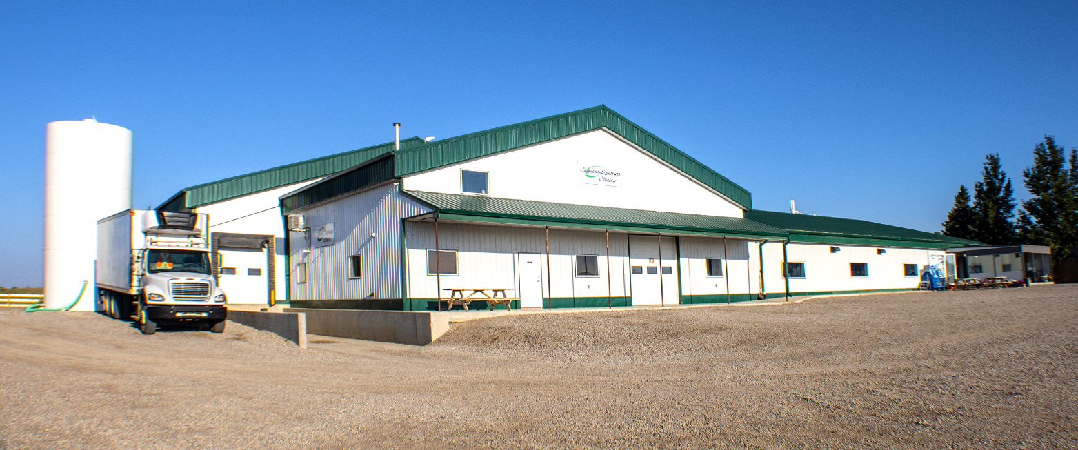 Crystal Springs Cheese | Bles Wold – Crystal Springs Cheese / Bles Wold